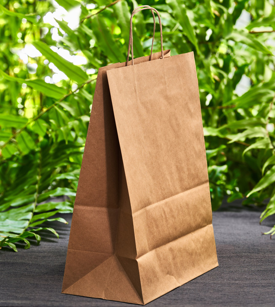 Torby papierowe duże - agnes bis